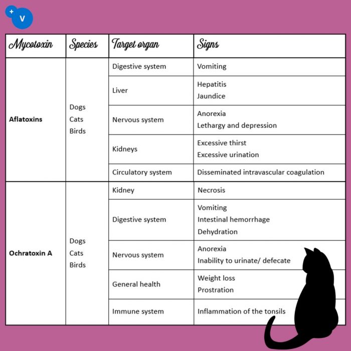 Mycotoxins in pet foods | PlusVet Animal Health
