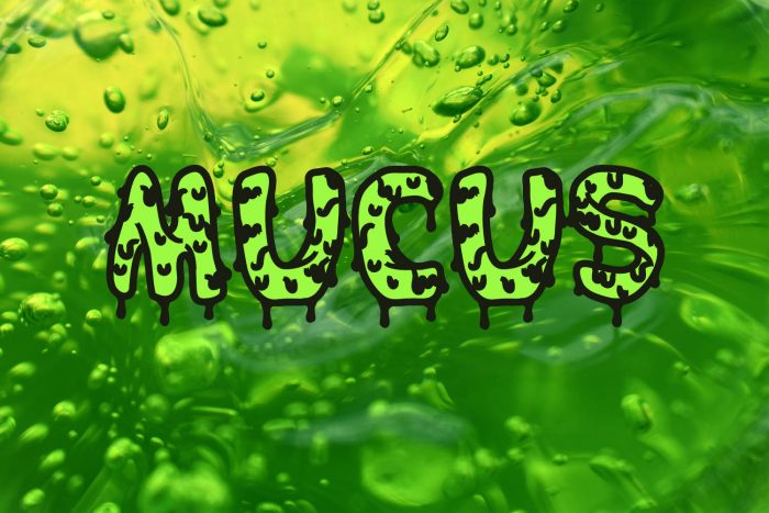 Effective elimination of mucus is essential for respiratory health ...