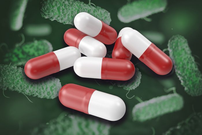 The use of antibiotics triggers dysbiosis | PlusVet Animal Health